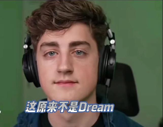 我的世界dream对中国粉丝图标