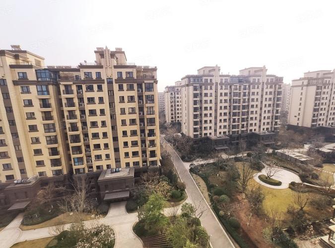 泰安都市森林现状截图