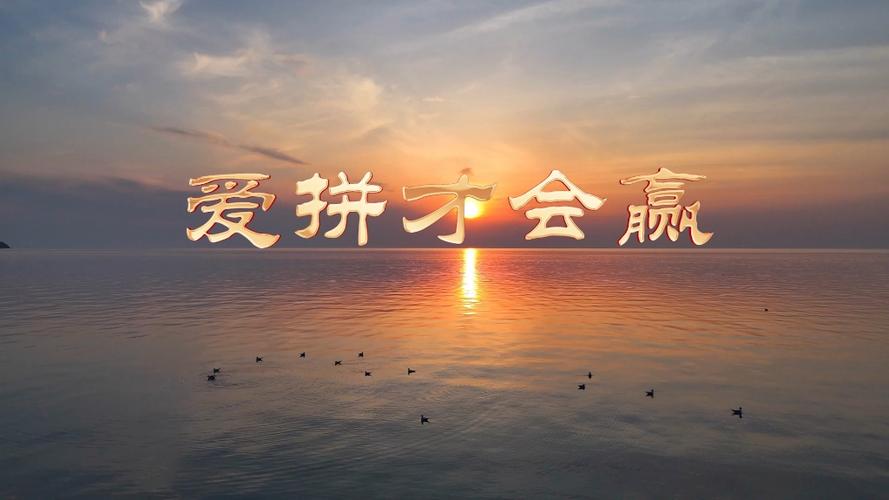 下载爱拼才会赢截图