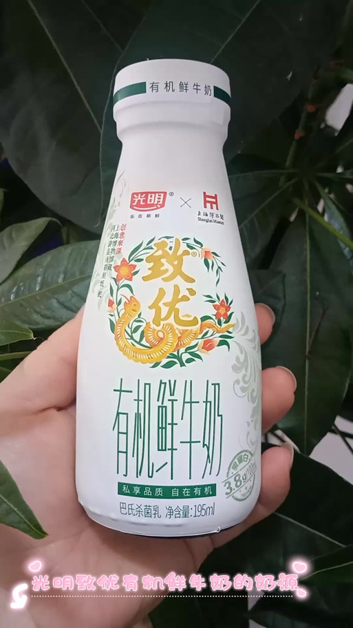 上海光明随心订图标