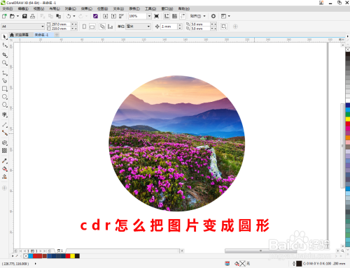 照片边框怎么变圆图标