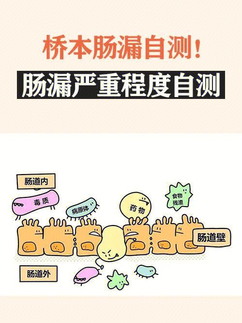 漏肠的症状图片图标