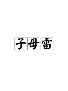 真假子母雷的介绍截图