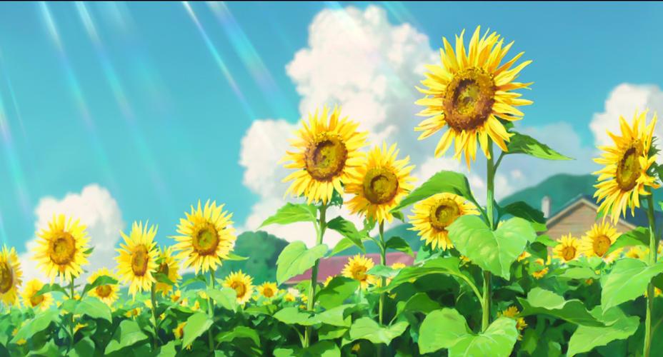 屏幕横屏图标