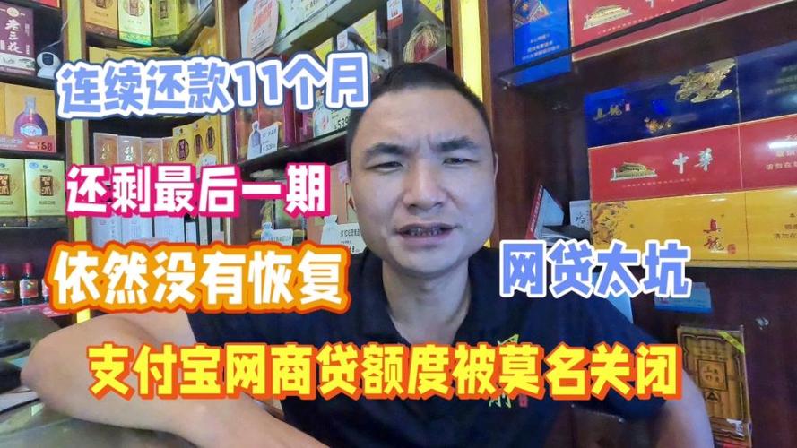 网商贷还款后没有恢复额度图标