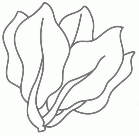 菠菜怎么搞截图