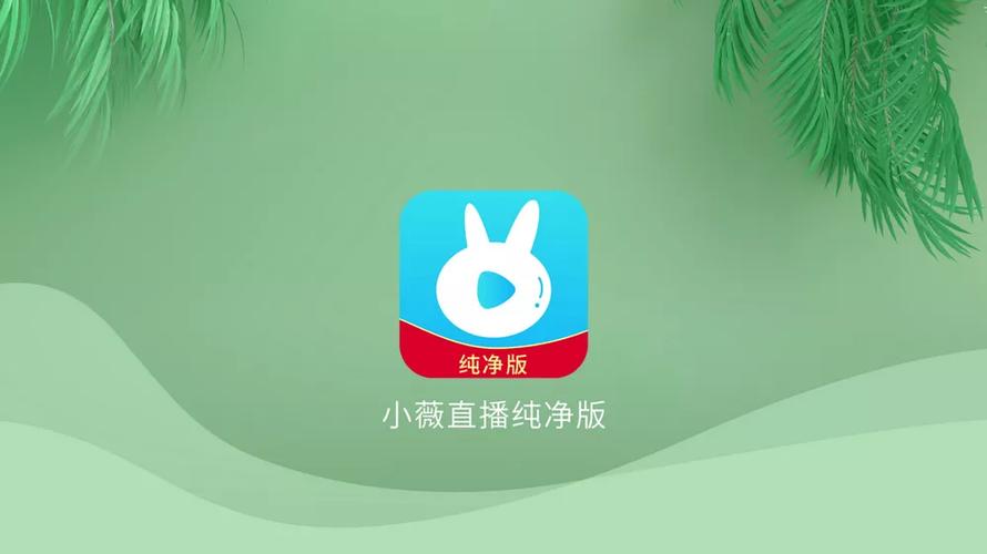 小薇直播添加源截图