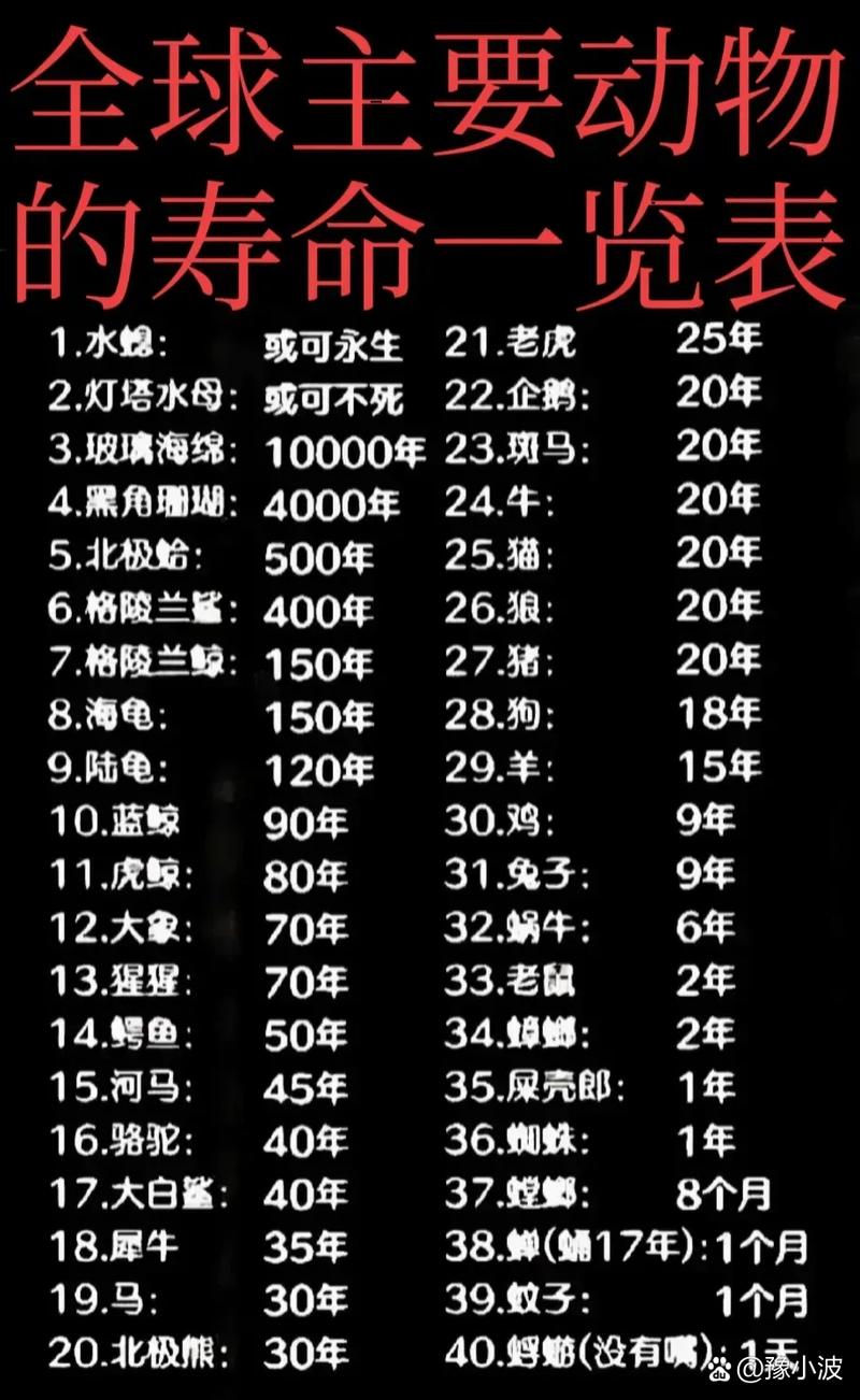 胡桃夹能活几年图标