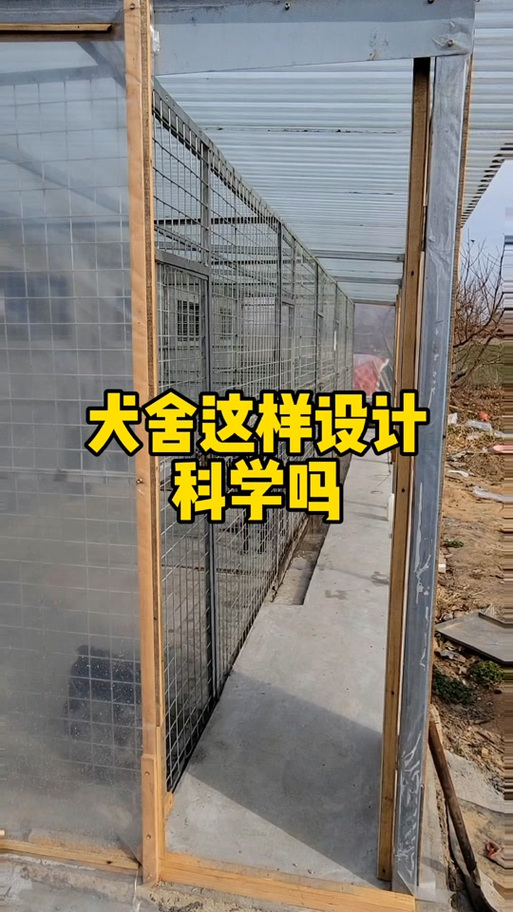 养狗场地是怎样建设截图
