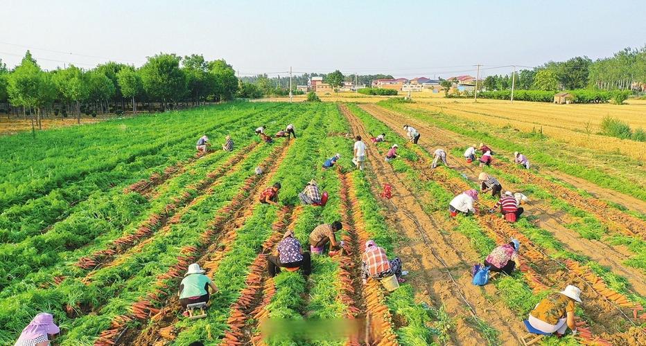 种田赚钱游戏图标