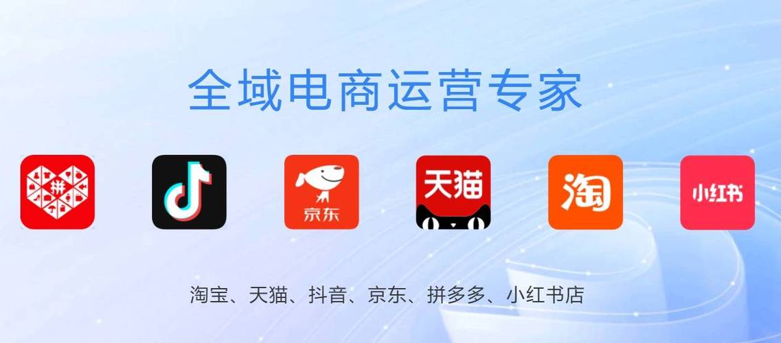 互联网电商平台
