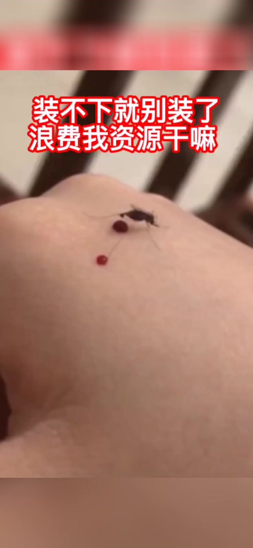 整蛊蚊子嗡嗡声图标