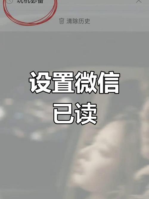 开启微信已读功能图标