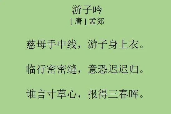 诗词解释大全软件图标