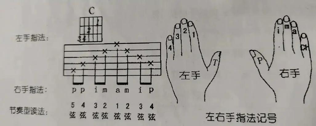 初学吉他零基础入门教程图标