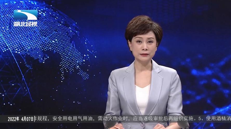 湖北经视频道节目回看图标