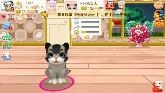 养成类游戏可以养小猫