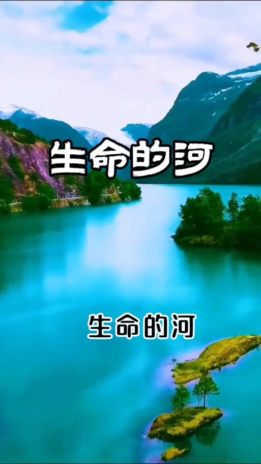 歌曲《生命的河》图标