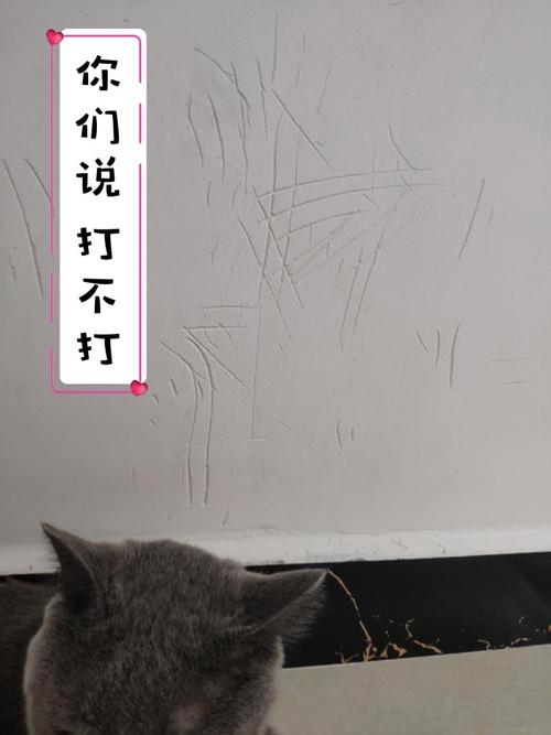 打不开微喵上墙截图