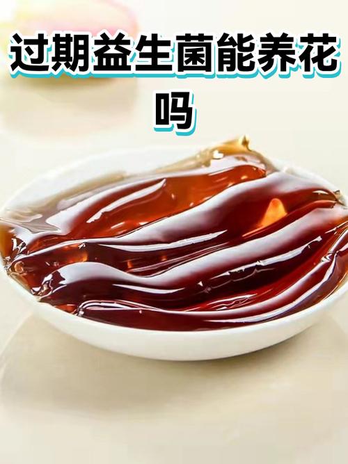 大人吃了过期益生菌图标