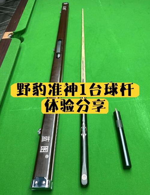 野豹准神1老款和新款对比图标