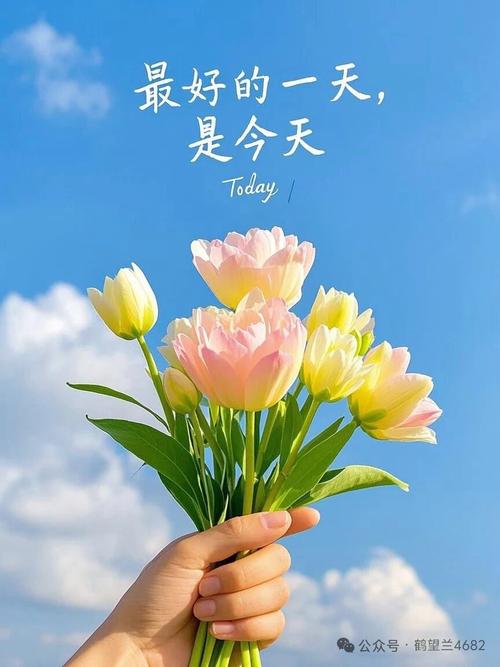 赞美生活的每一天