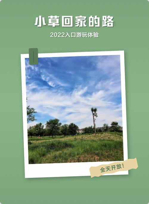 小草总部回家发车怎么用截图