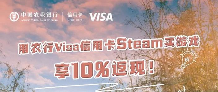 没有visa信用卡怎么支付截图