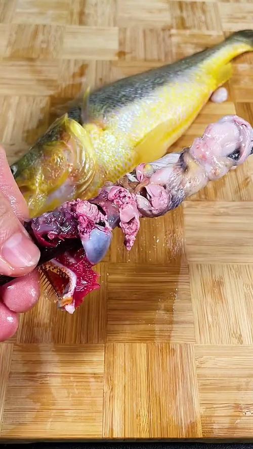 怎么处理小鱼内脏和清洗截图
