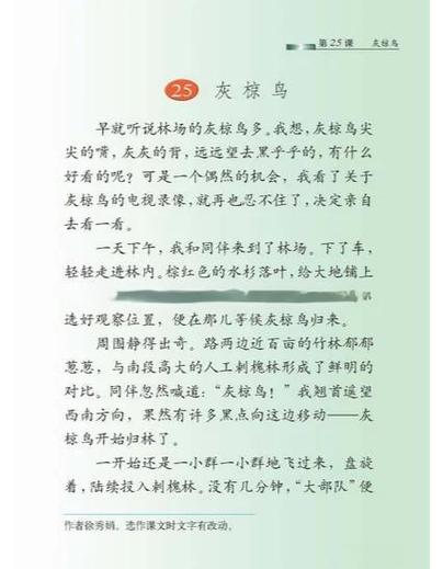 赞美鸟的文章图标