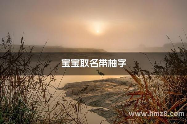 柚字好听稀少的名字图标