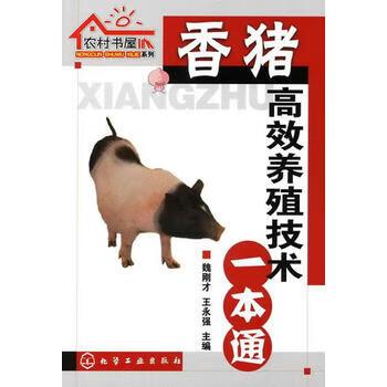 香猪养殖技术图标