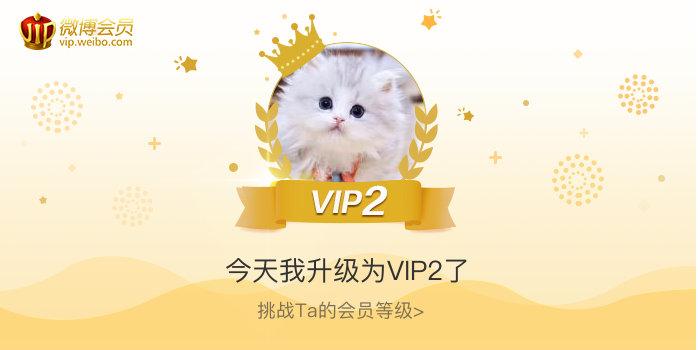 猫咪视频会员图标