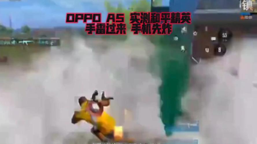 oppoa5能玩和平精英吗图标