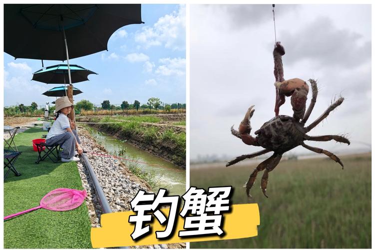 一起宁德钓蟹辅助视频