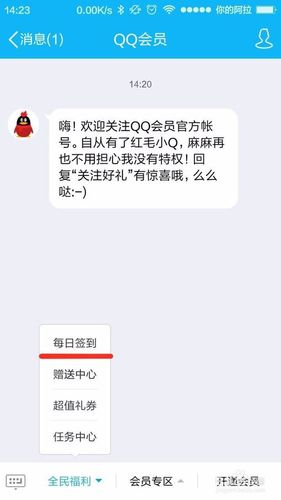 qq会员可以不显示红名字吗图标