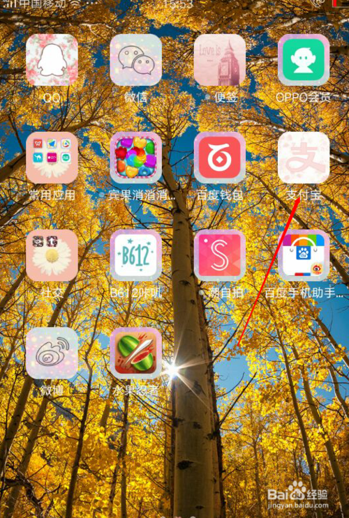 支付宝关闭小额免密图标