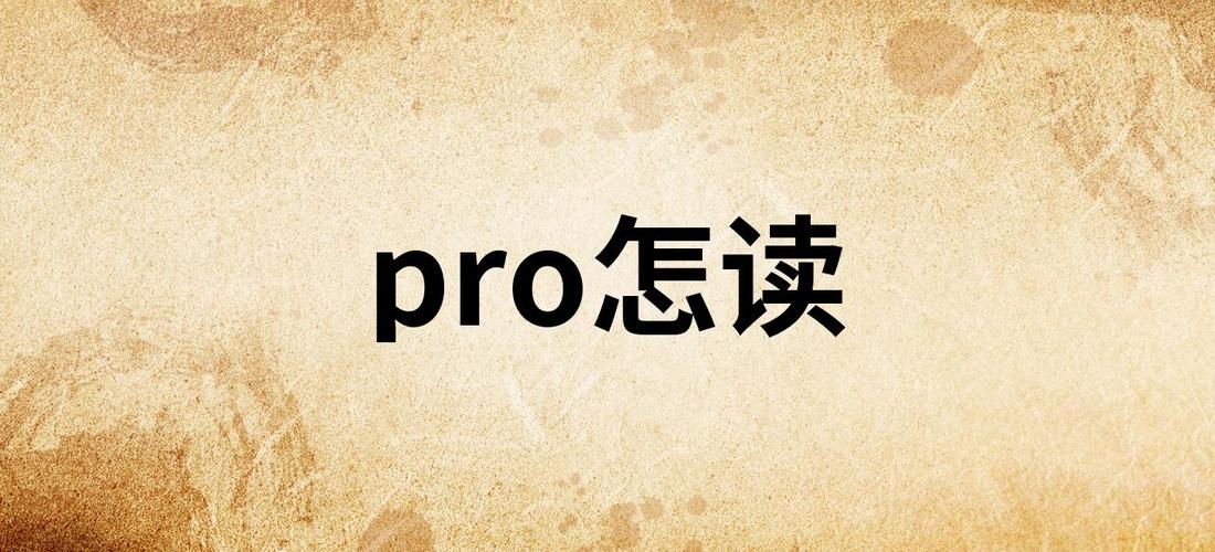 pro中文读音怎么读图标