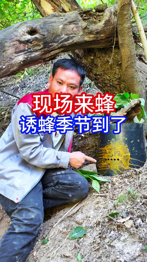 用什么方法引蜜蜂 视频图标