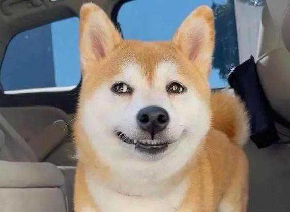 嘴角疯狂上扬表情包