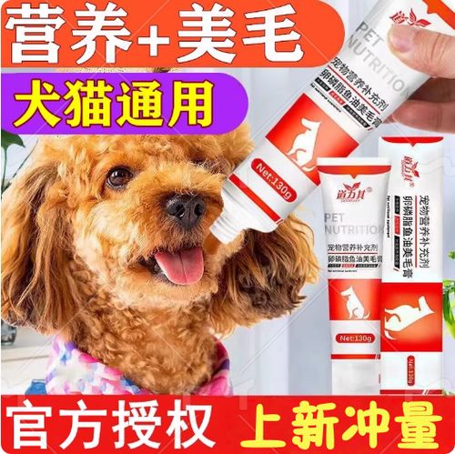 狗狗掉毛吃什么药效果好截图