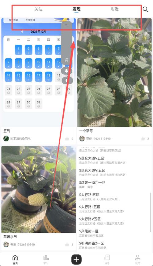 必应bing国内版图标