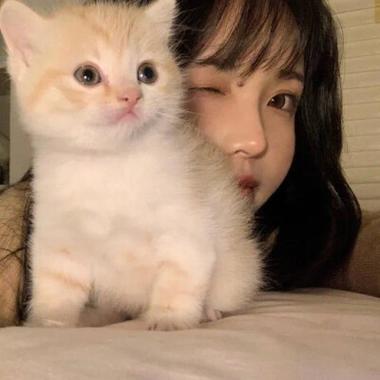 捧猫少女头像截图