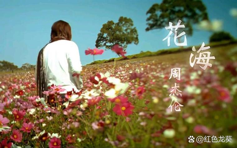 花海歌曲原唱图标