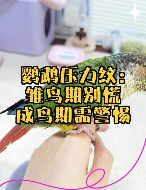 鹦鹉一条腿站着要警惕了图标