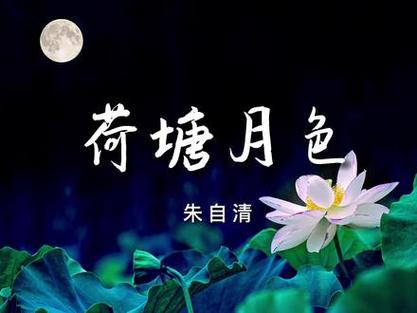 荷塘月色朗诵原文董卿图标