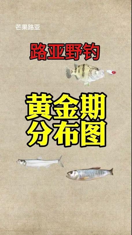 钩鱼什么时间最好钓图标