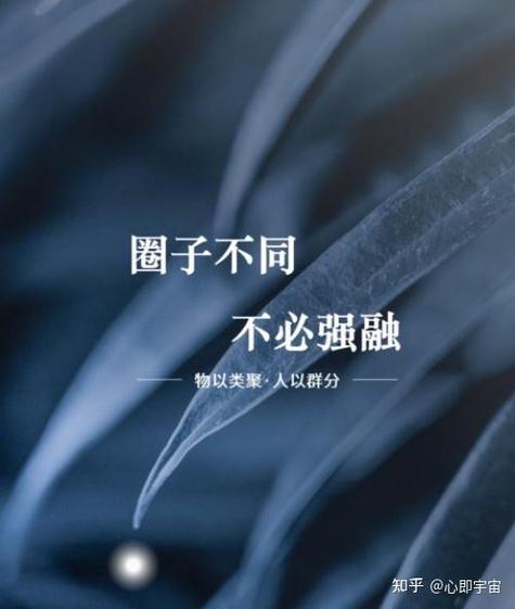 怎么看待圈子文化截图