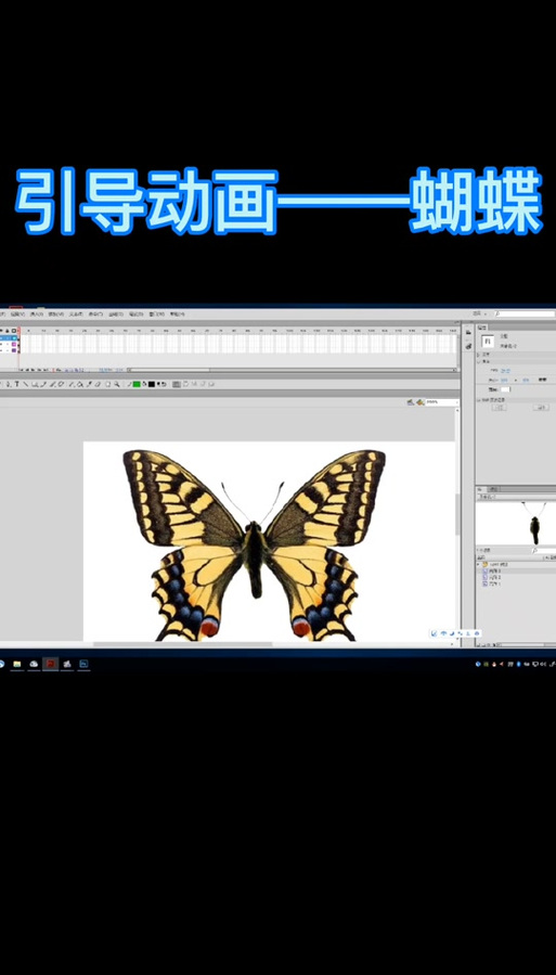 an引导层动画教程截图