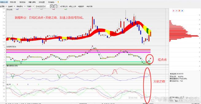 隆平高科(000998)股吧分析截图
